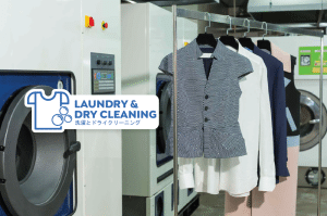 Dry Cleaning & Laundry Services | Laundry Pickup & Delivery